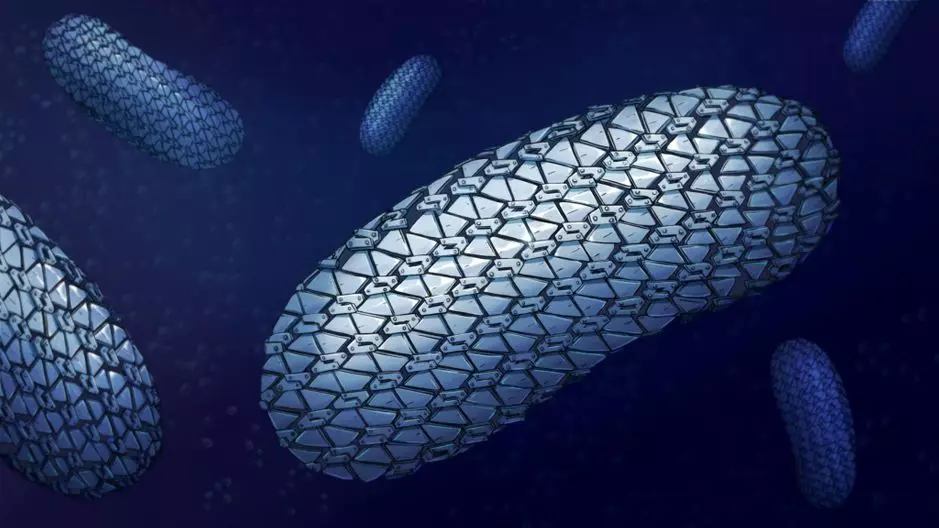 Chain-Mail Armor của C. difficile