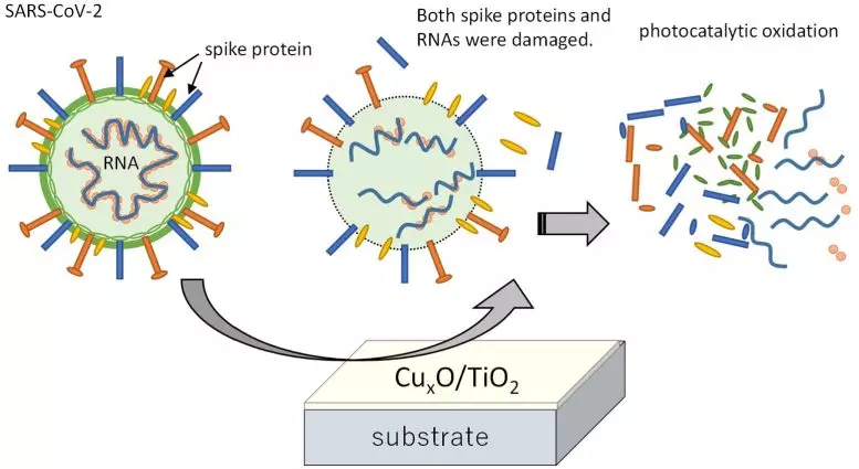 Mecanismo antiviral propuesto del recubrimiento fotocatalizador