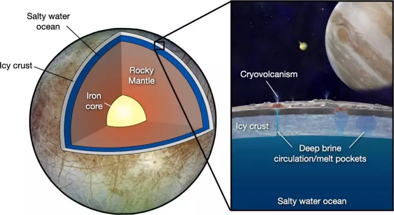 Europa Cross-Section