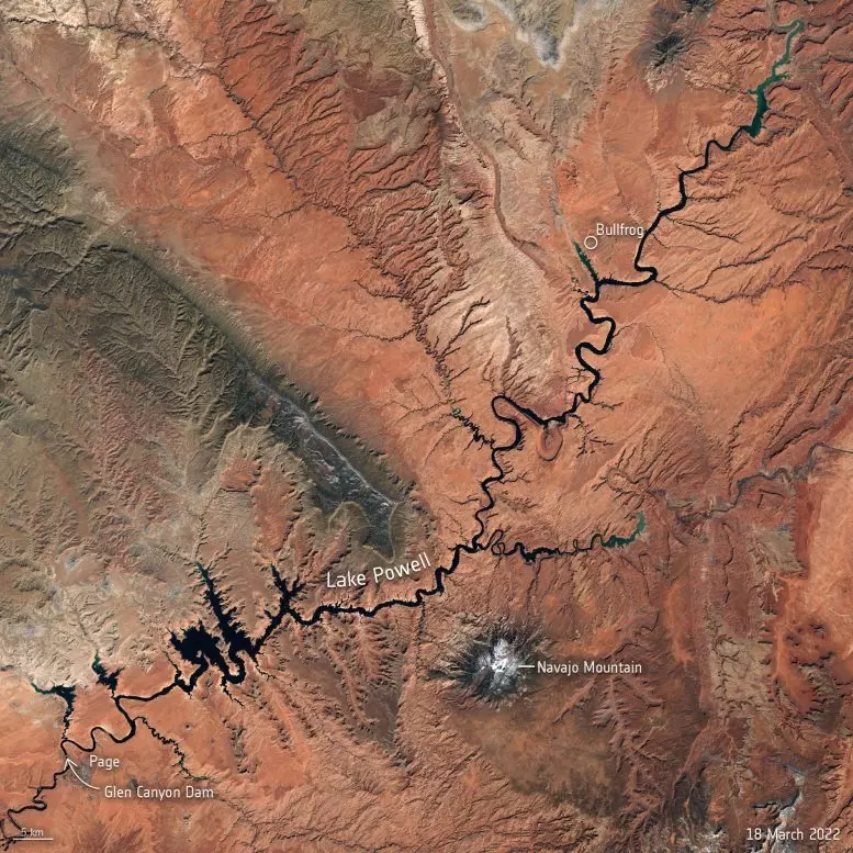 Sjunkande vatten i Lake Powell