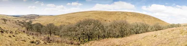 Upland Oak Woodland