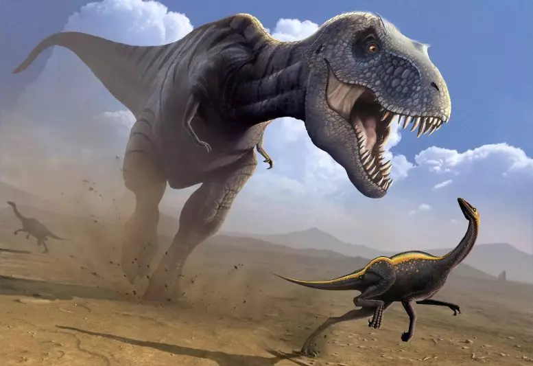Ornithomimus de caza de dinosaurios T. Rex