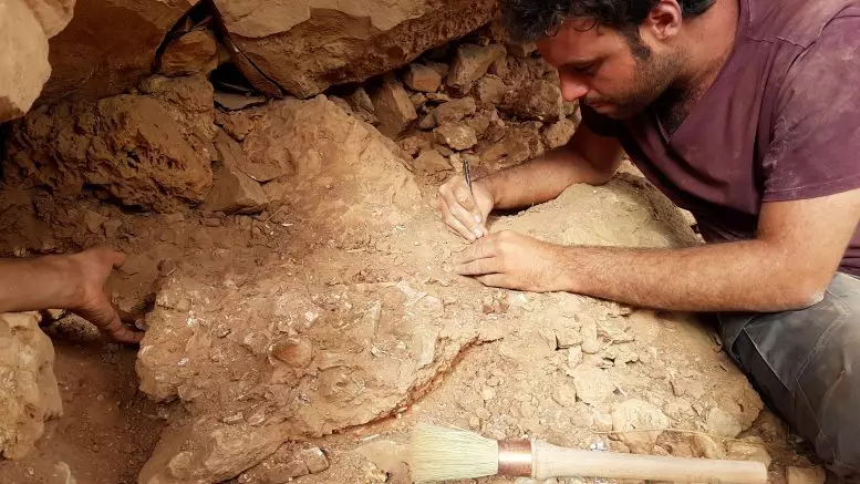 Matteo Fabbri Fieldwork