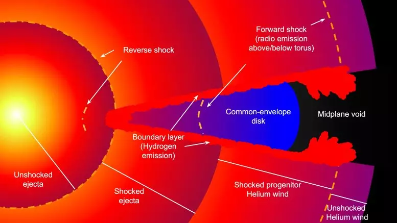 Schéma supernovy 2014C