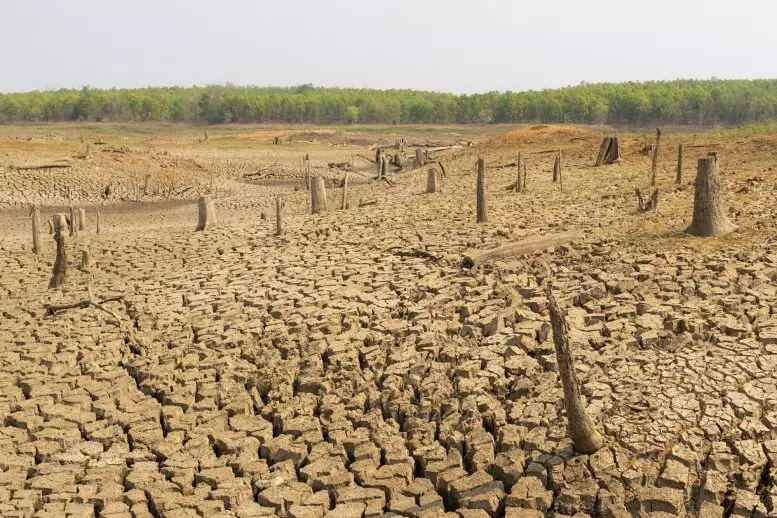 जागतिक तापमानवाढीचा दुष्काळ