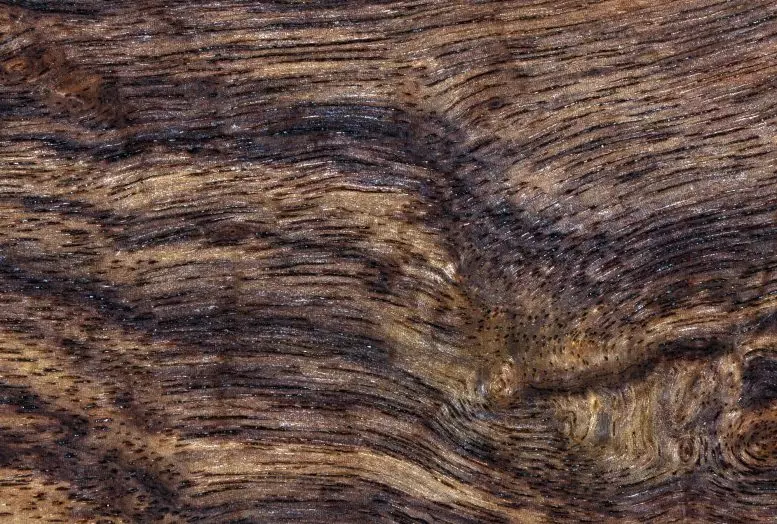 Detalle de textura de madera