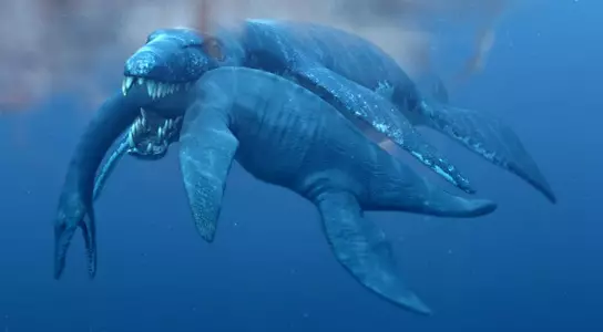 Predator X официјално наречен Pliosaurus funkei