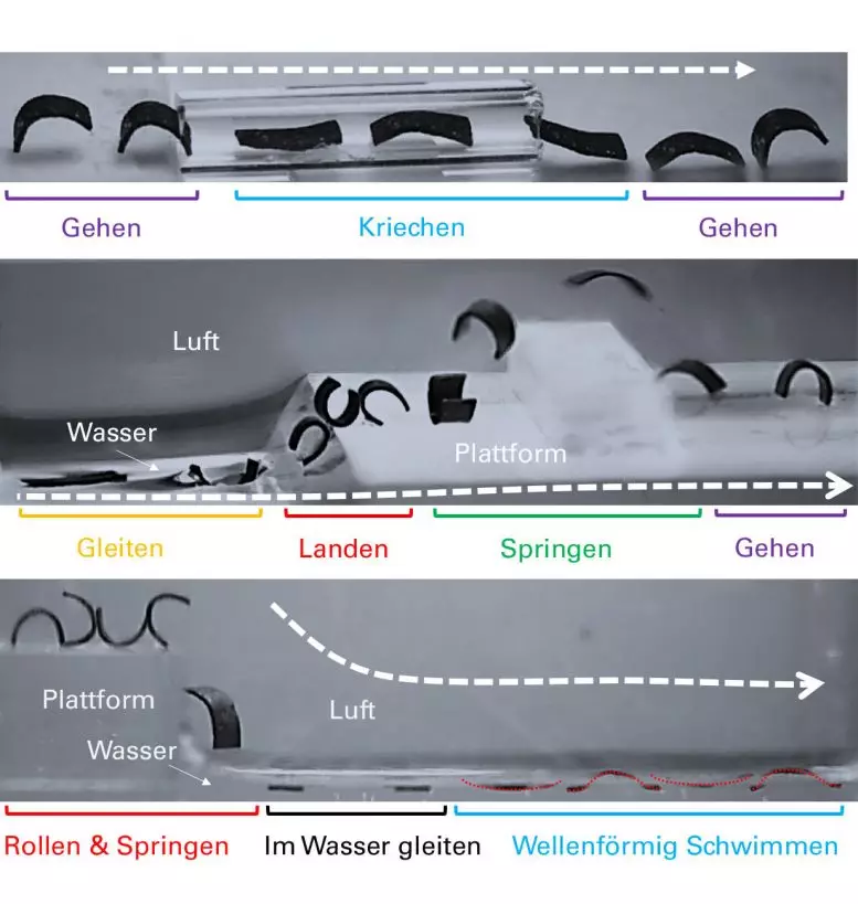 Ûndersikers Untwikkelje Lytse Skaal Soft-Bodied Multimodal Locomotion