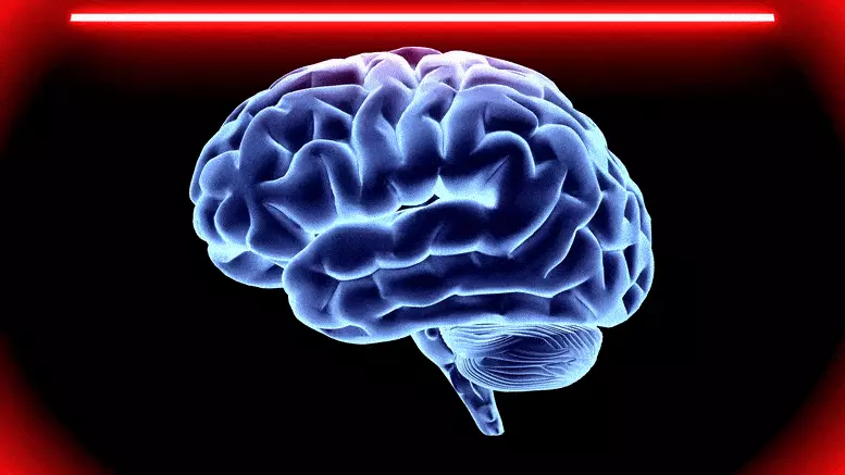 Umělá inteligence dokáže detekovat demenci roky předtím, než se objeví příznaky