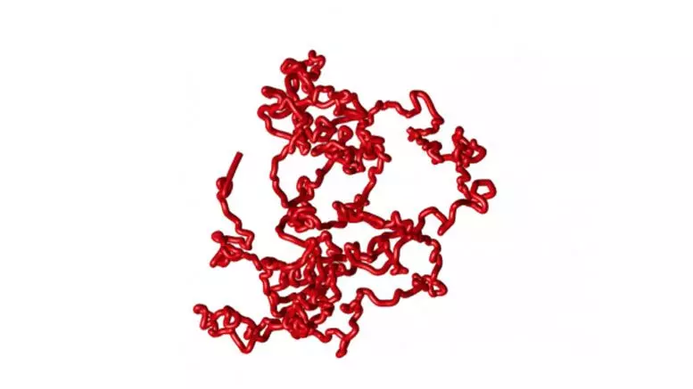 Xauv qhov Mysteries ntawm Chromatin