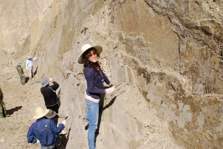 Fossil Shiri Fieldwork