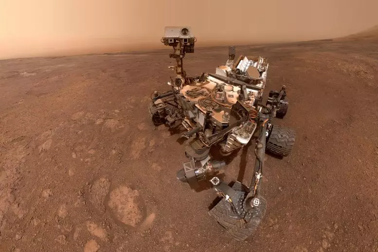 Curiosity Rock Hall Selfie