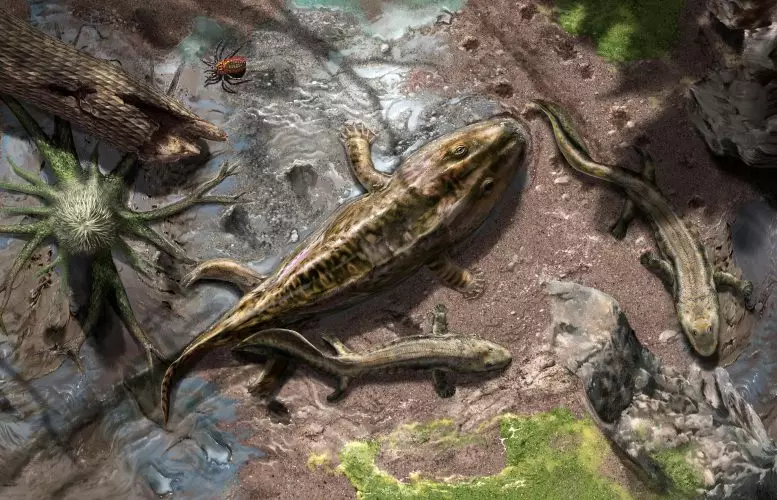 Seint Devonian Snemma Fjórfjörudýr