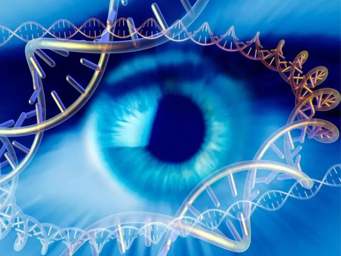 Eye DNA Genetics Concept