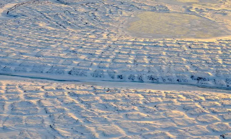 Višje temperature lahko povečajo emisije ogljikovega dioksida iz aljaške tundre