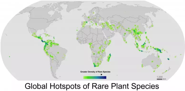 Points chauds mondiaux d'espèces végétales rares