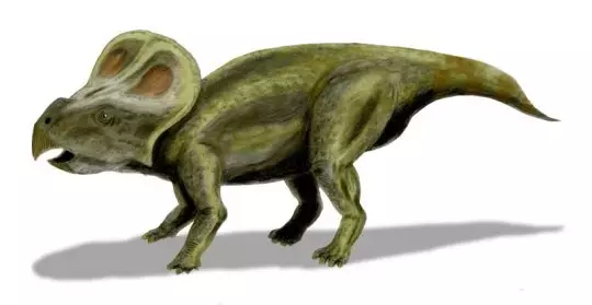 Salag sa Juvenile Protoceratops Andrewsi Dinosaurs Nadiskobrehan 539_1