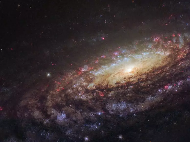 Etonan imaj Hubble nan Galaksi espiral NGC 7331