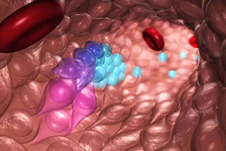 新しい技術は、病気を治療するためにすべてのタイプの血球を作る可能性を高めます