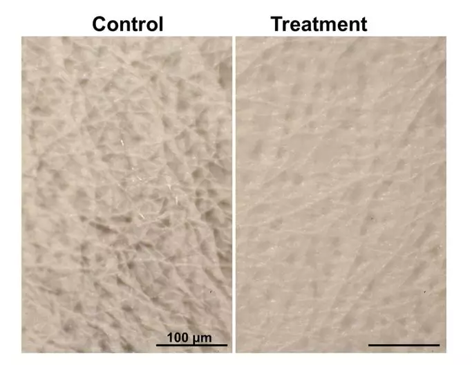 Smoothing Wrinkles a cikin Mice