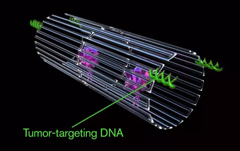 Kræftbekæmpende nanorobotter søger og ødelægger tumorer