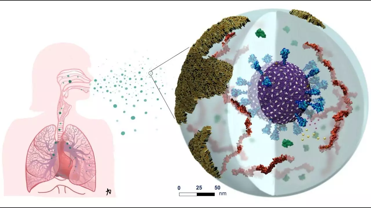 கோவிட் வான்வழியைப் பெறுகிறது - வைரஸ்கள் காற்றில் எவ்வாறு பயணிக்கின்றன என்பதை நிபுணர் விளக்குகிறார்