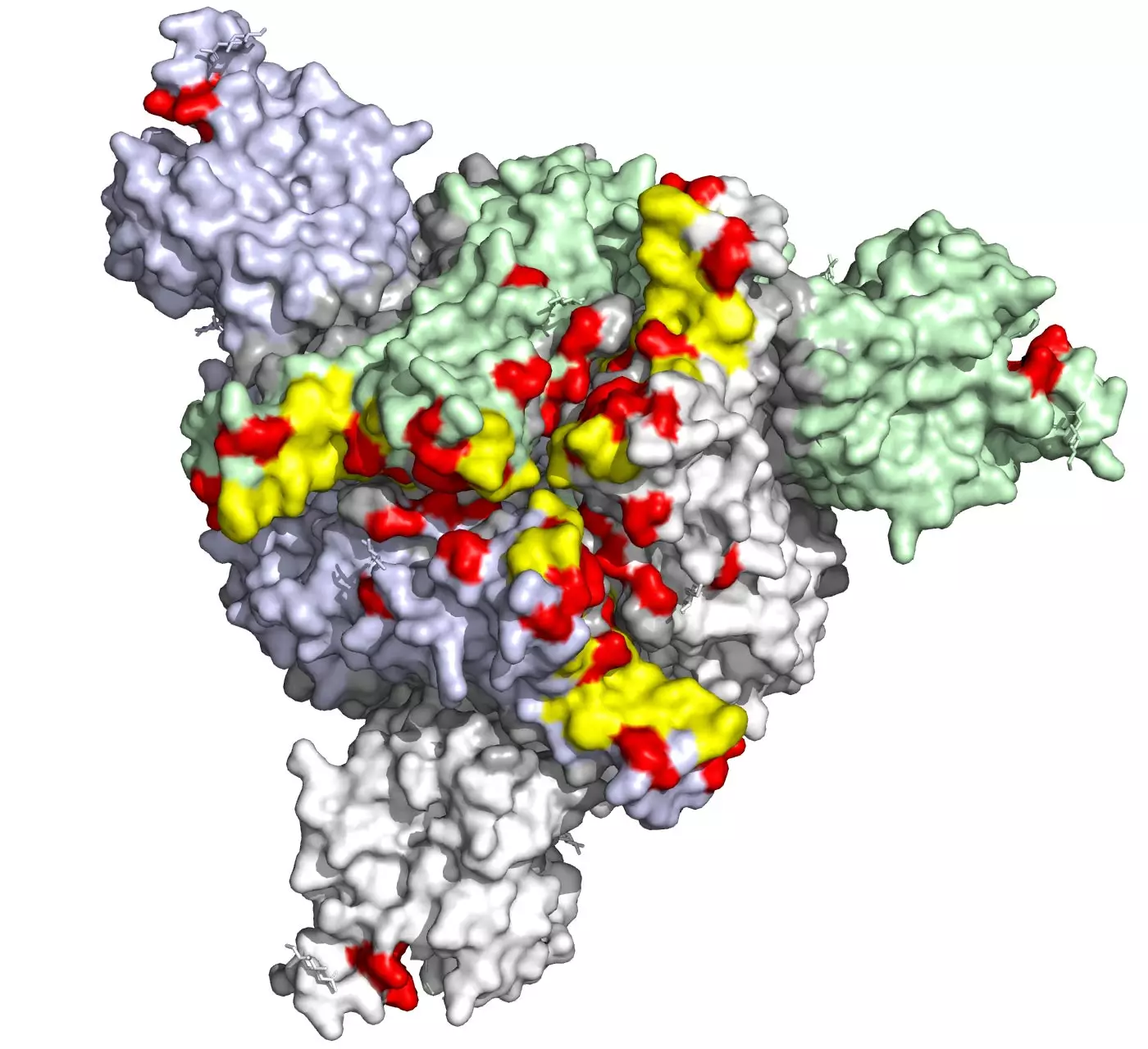 Oyatọ COVID-19 Omicron Resistance si Awọn ọlọjẹ Monoclonal - Ṣugbọn Aibikita nipasẹ Ilọru Ajesara