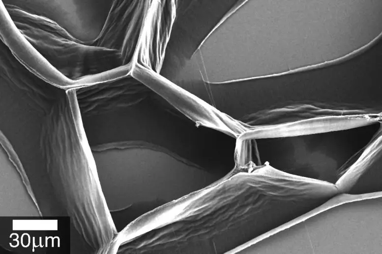 Raziskovalci ustvarjajo predvidljive vzorce iz nepredvidljivih ogljikovih nanocevk