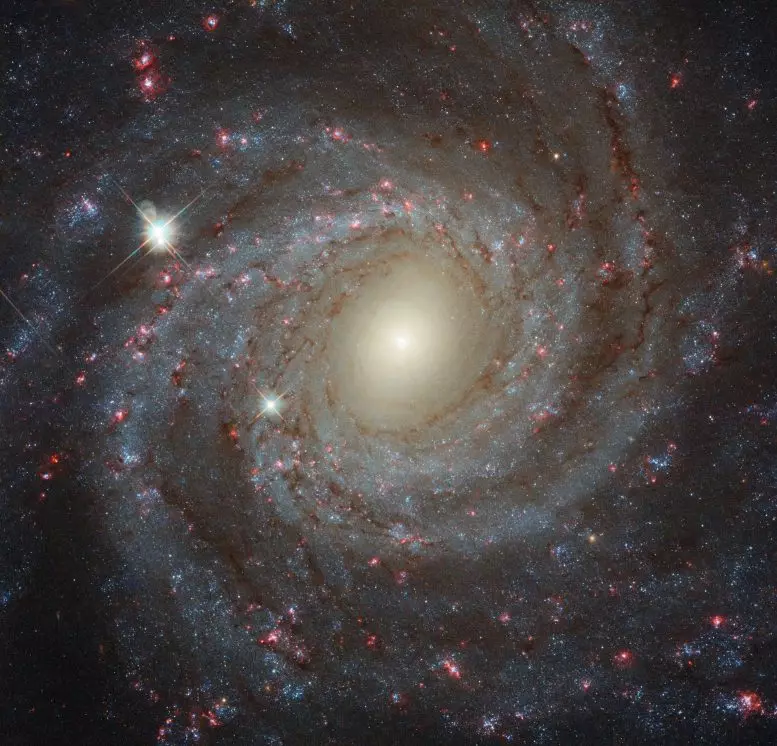 Galaxy NGC 3344-ന്റെ പുതിയ ഹബിൾ ചിത്രം