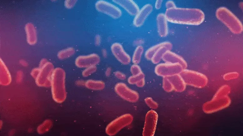 Fat Bacteria? Mršave bakterije? Postoji razlog zašto mikrobi ostaju u formi