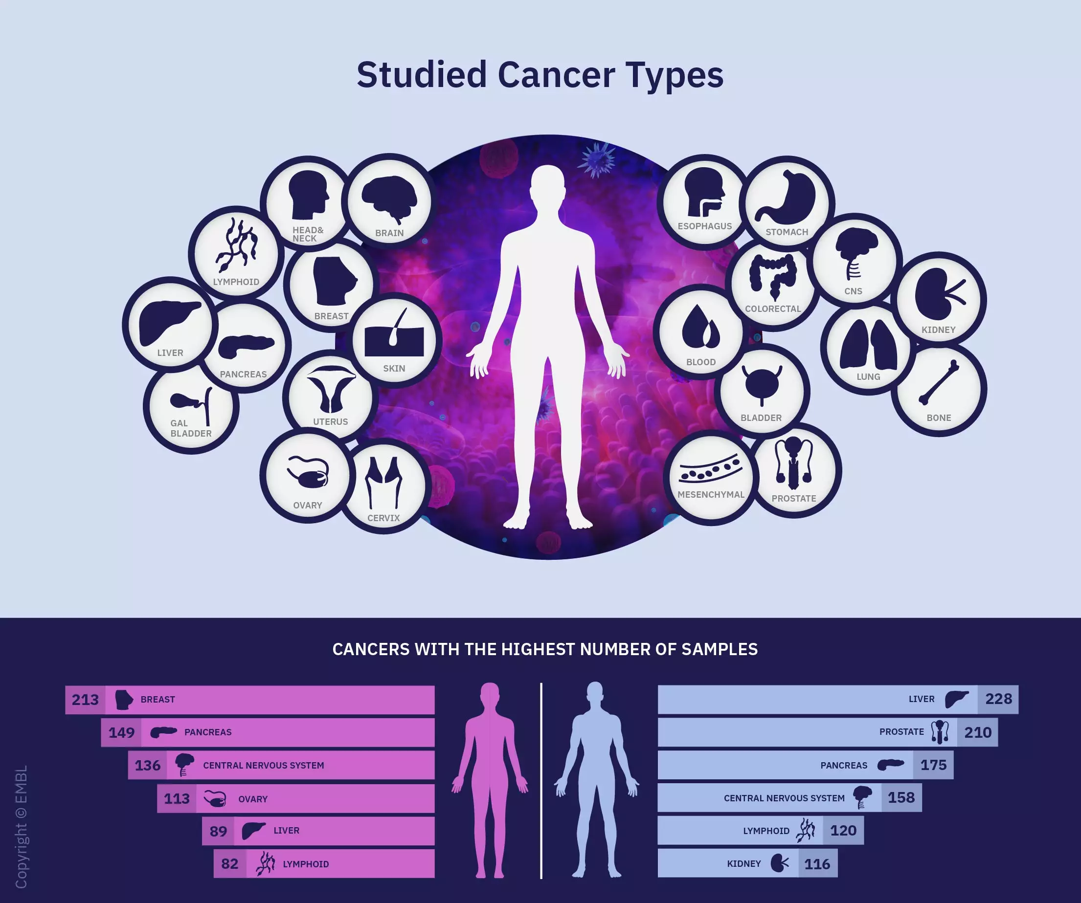 Peta Genetik Massive of Cancer Mutations Cataloged - Sadia pikeun Dokter sareng Panaliti Di sakuliah dunya