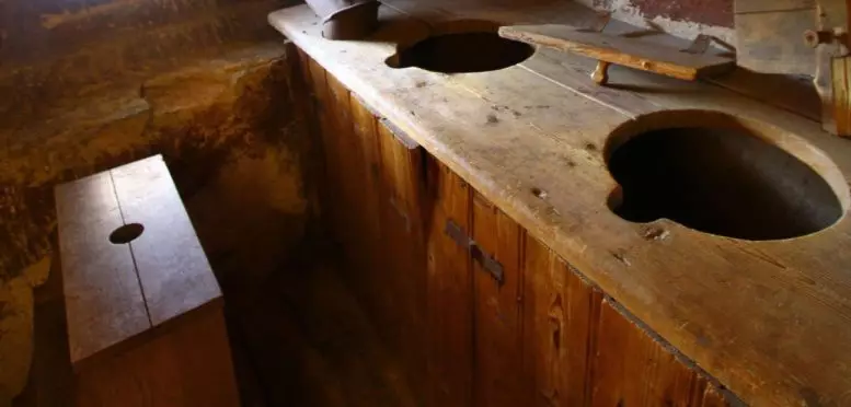 Parazīti no viduslaiku tualetēm atklāj cilvēces vēstures noslēpumus