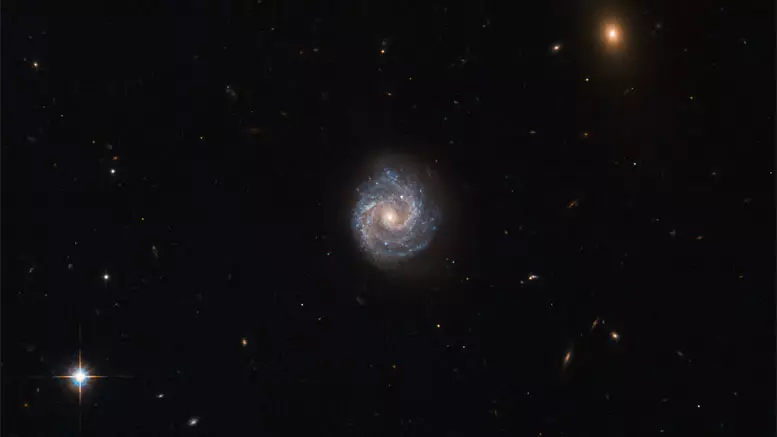 Sawirka cusub ee Hubble ee 2XMM J143450.5+033843