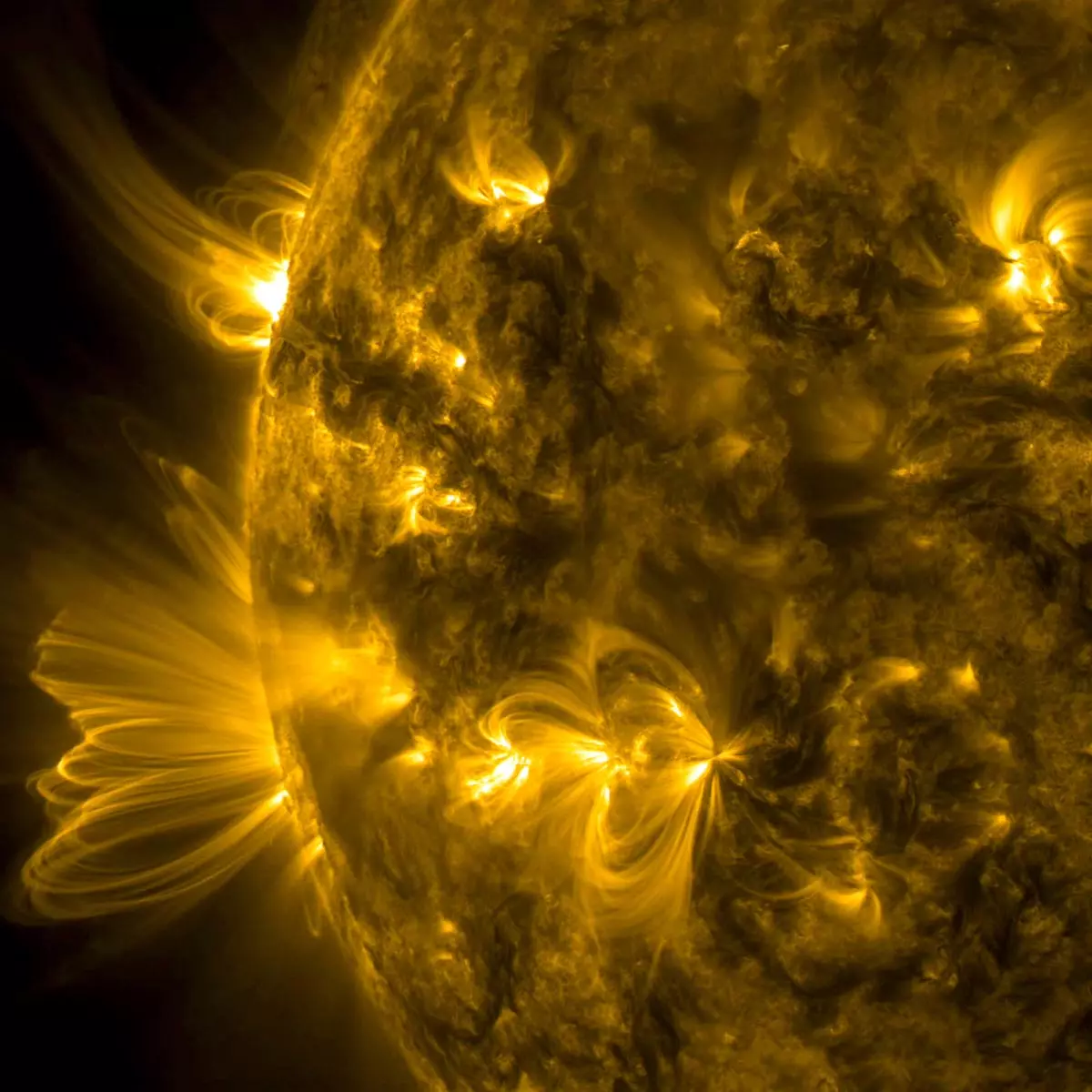 Coronal Loops อาจไม่วนซ้ำเลย - "เมื่อฉันเห็นผล ใจของฉันก็ระเบิด"