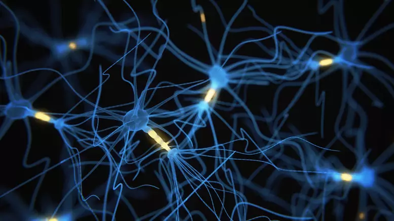 फ्लेयर तकनीक न्यूरॉन गतिविधि के स्नैपशॉट प्रदान करती है
