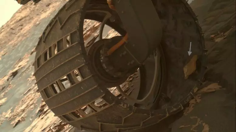 Curiosity Rock Wheel