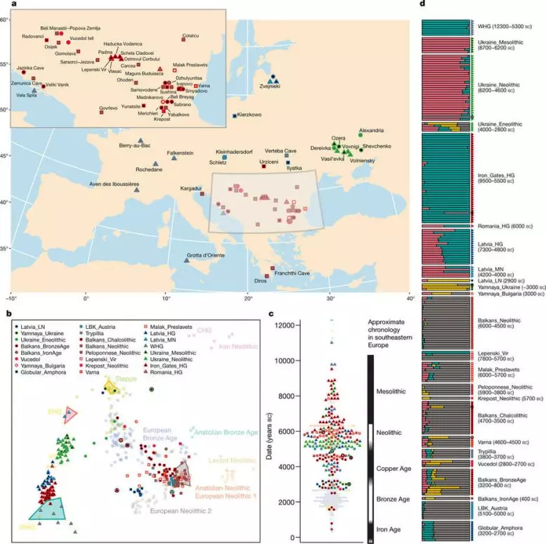 Antik DNA Enthüllt Abléck an déi éischt Baueren an Europa