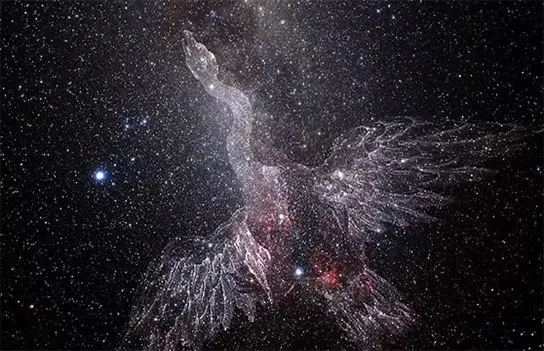 Wiwo Kepler ti Constellation Cygnus the Swan