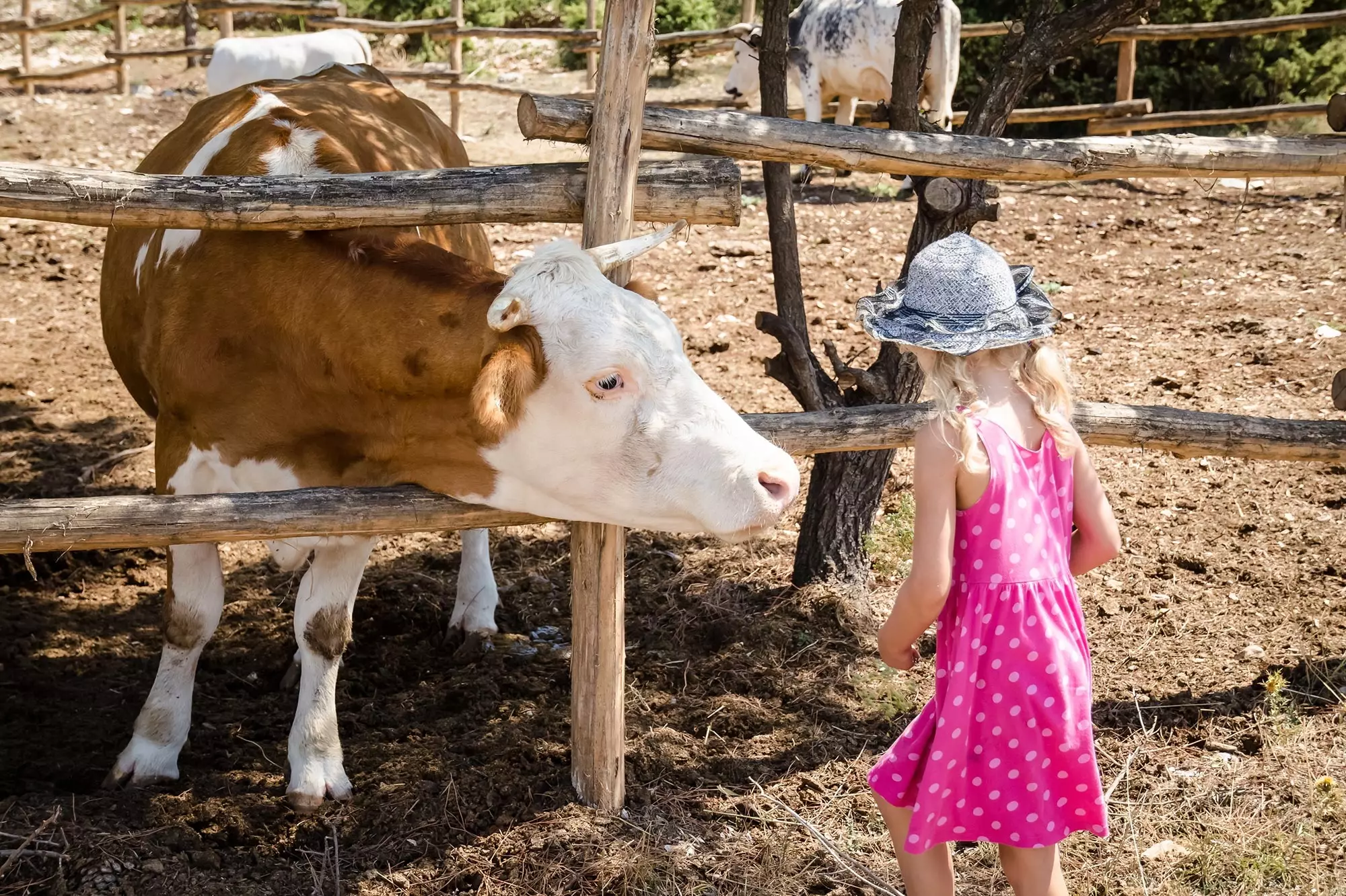 Quando o “especismo” é aprendido? Crianças pensam que animais de fazenda merecem o mesmo tratamento que animais de estimação