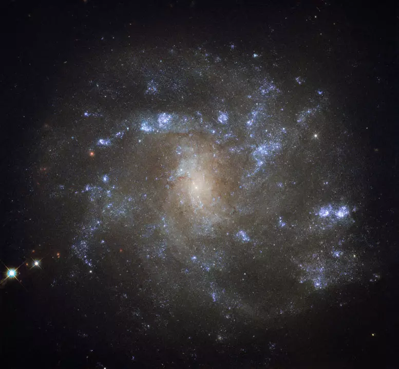 వారపు స్పైరల్ గెలాక్సీ NGC 2500 యొక్క హబుల్ చిత్రం