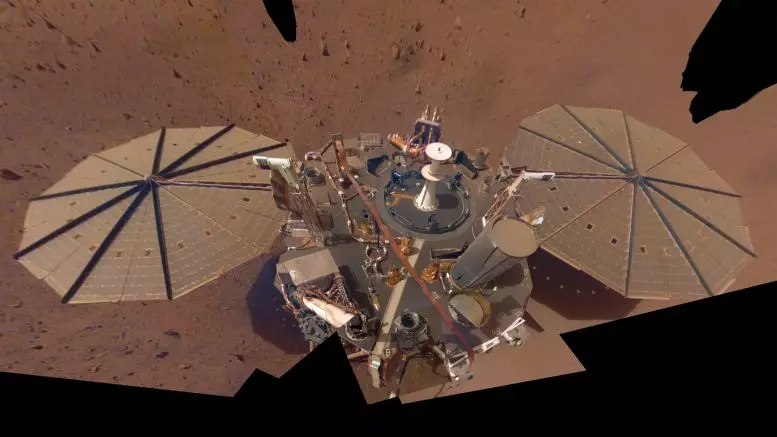 I-InSight Selfie