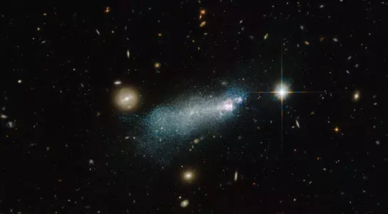 Golygfeydd Hubble PGC 51017