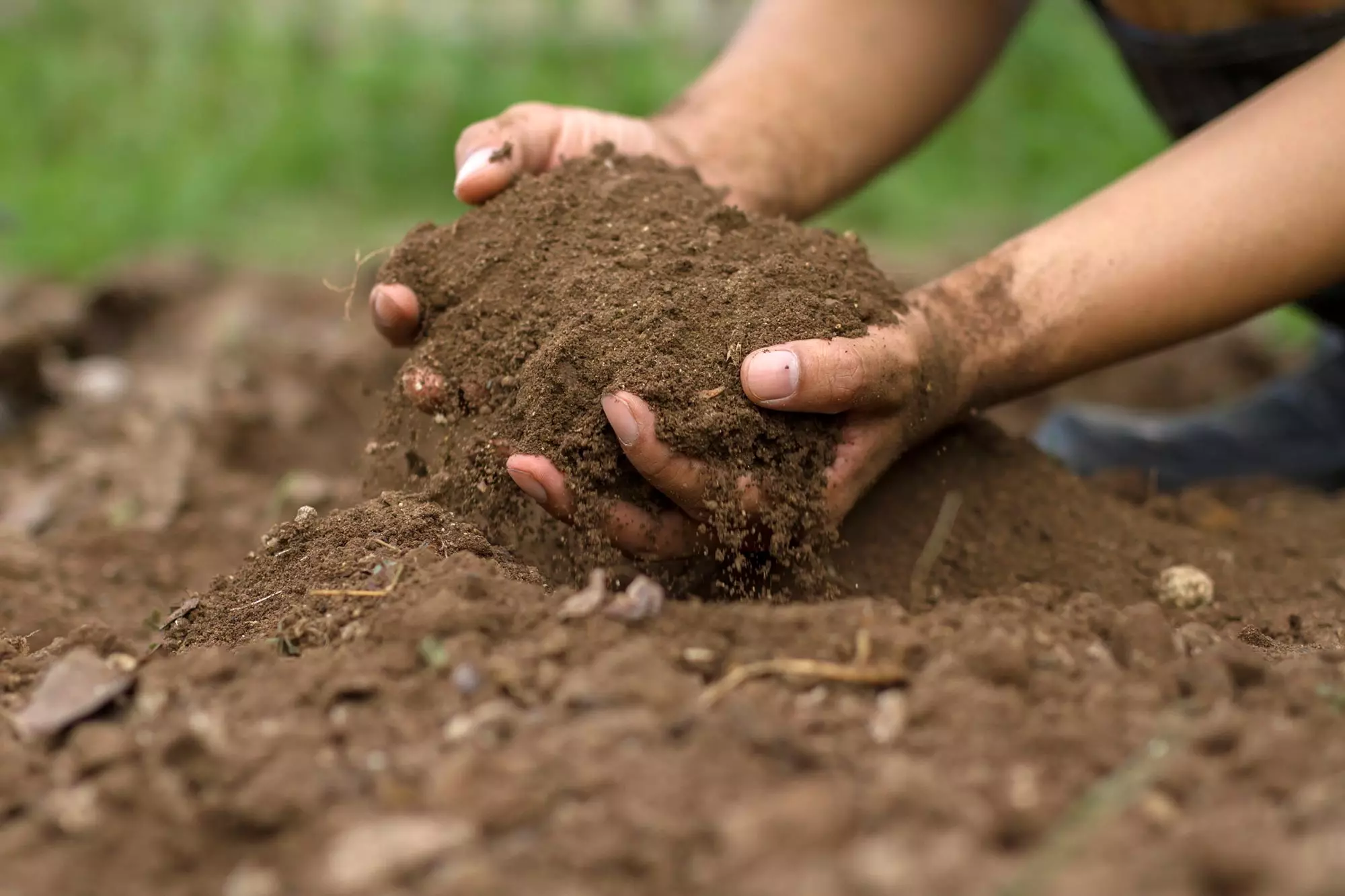 Nuovi farmaci per insetti nocivi: da Rare Soil Microbe, un nuovo antibiotico candidato per le infezioni resistenti ai farmaci