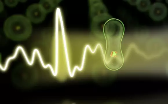 शोधकर्ताओं ने देरी का निर्धारण किया जिसके साथ परमाणुओं में इलेक्ट्रॉन प्रकाश के विद्युत चुम्बकीय बलों का जवाब देते हैं