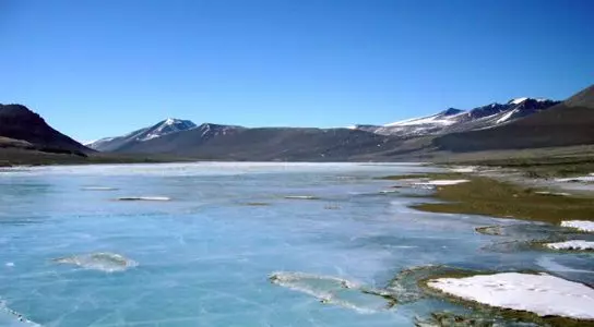 Antarktično jezero Vida ima obilico mikrobnega življenja 7030_1