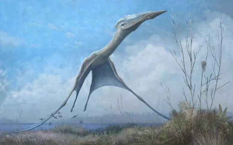 Pterosaur štartuje do letu