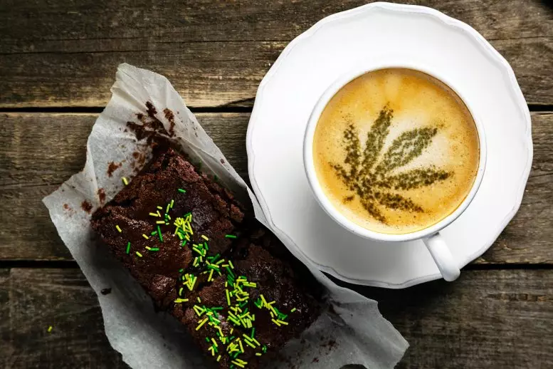 Daun Marijuana pada Buih Kopi