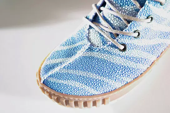 El cultivo de rayas modificadas genéticamente para calzado plantea preocupaciones éticas 7075_5