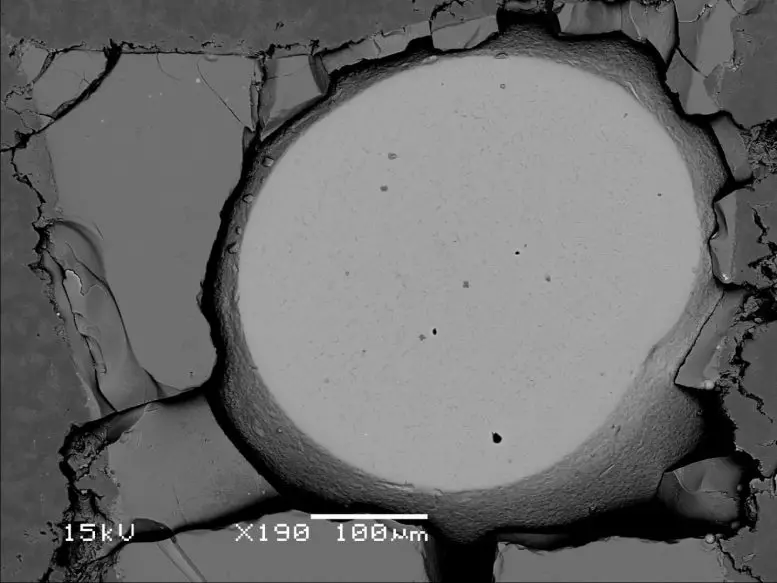回収されたサンプルの電子顕微鏡写真