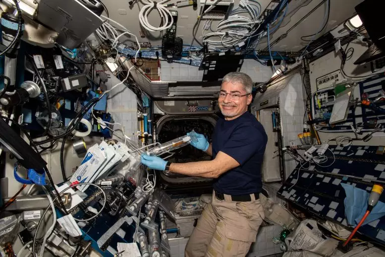 НАСА-ин астронаут Марк Ванде Хеи проучава генетику памука